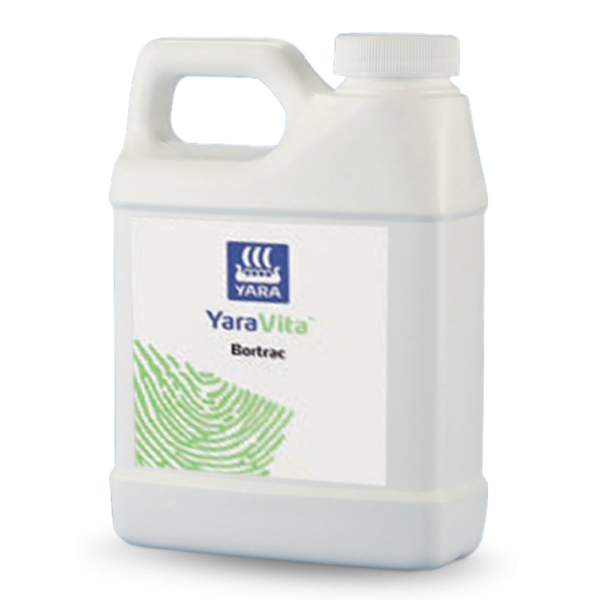 Yara Vera Amidas – Circle R Products